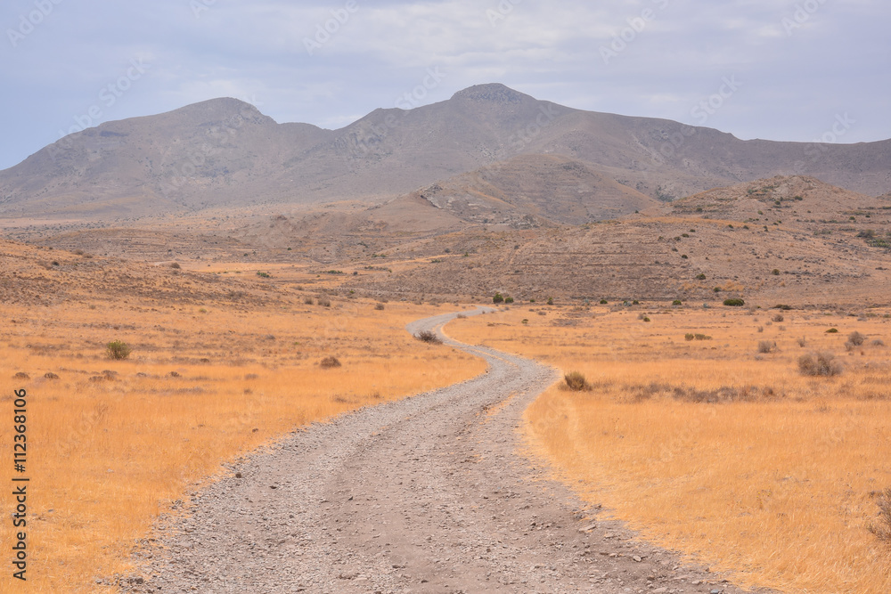 Countryside Desert Dirt Path Stock Photo | Adobe Stock