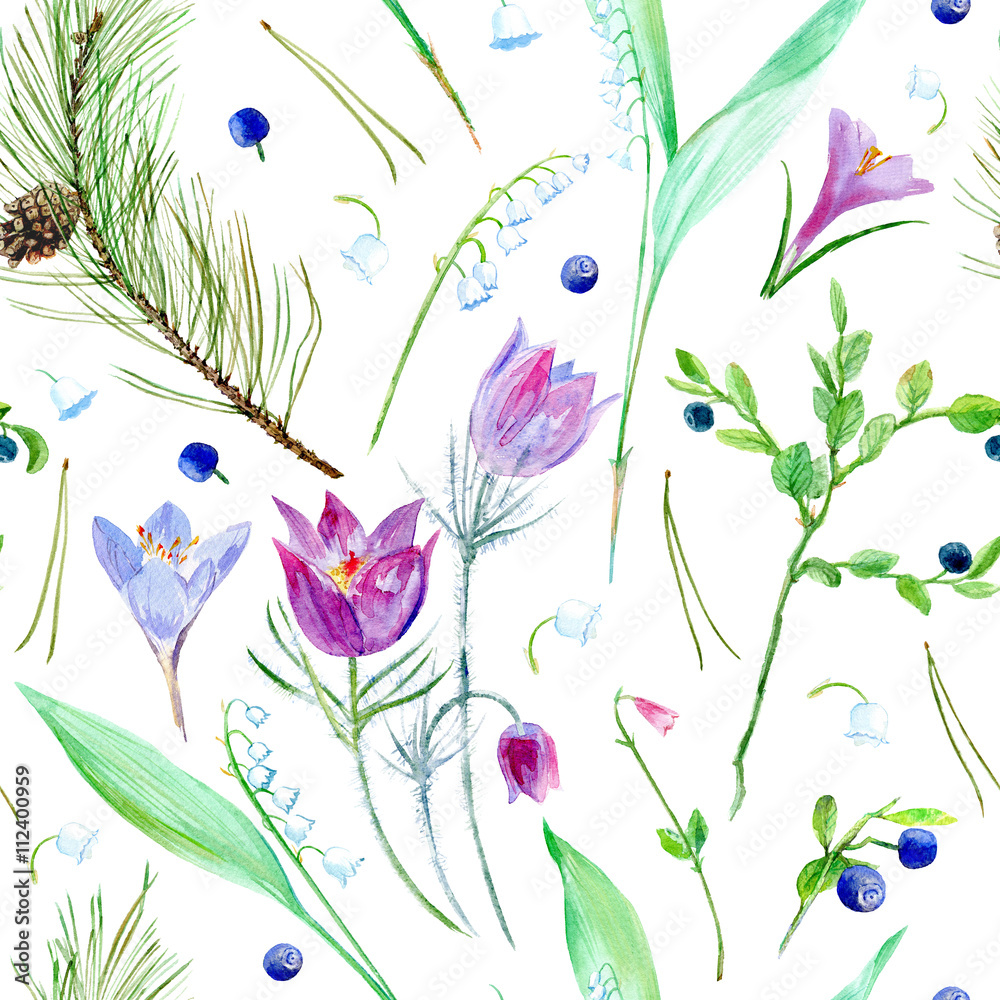 Coniferous Forest Flowers