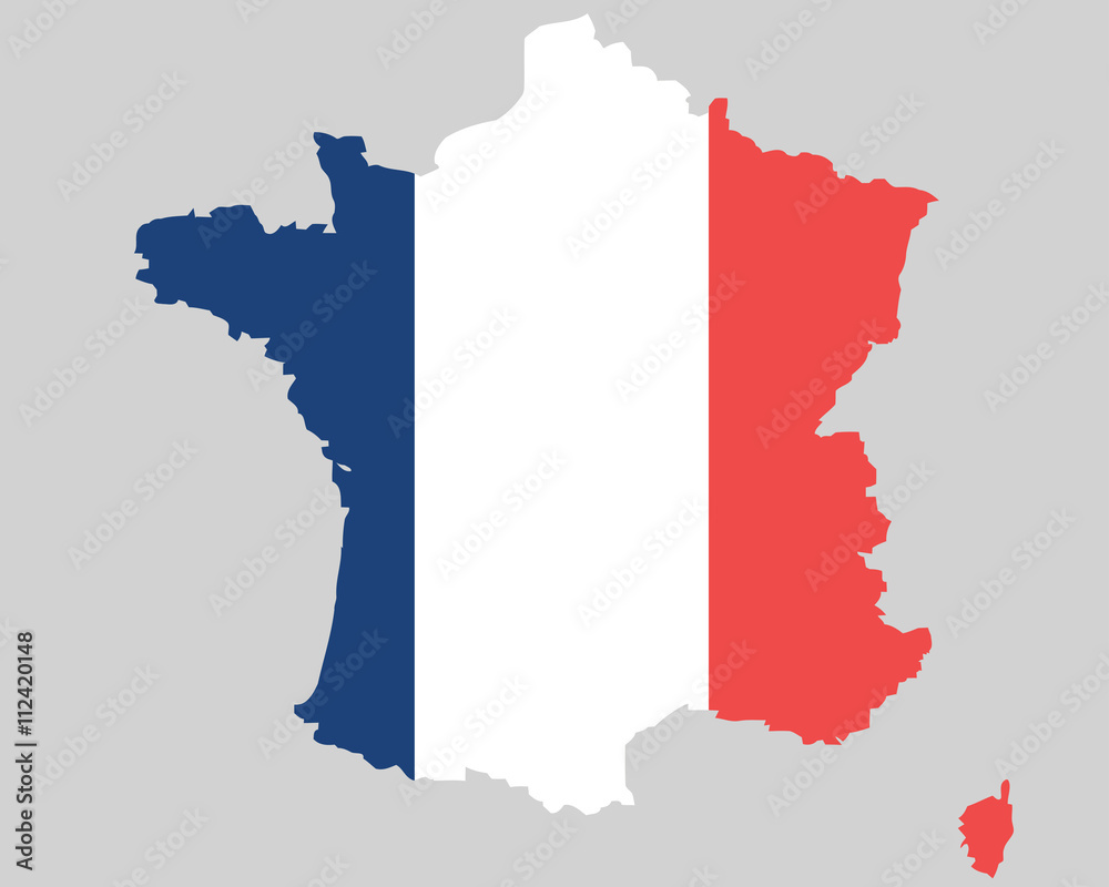 Vector France topographic map isolated on grey background. France flag ...