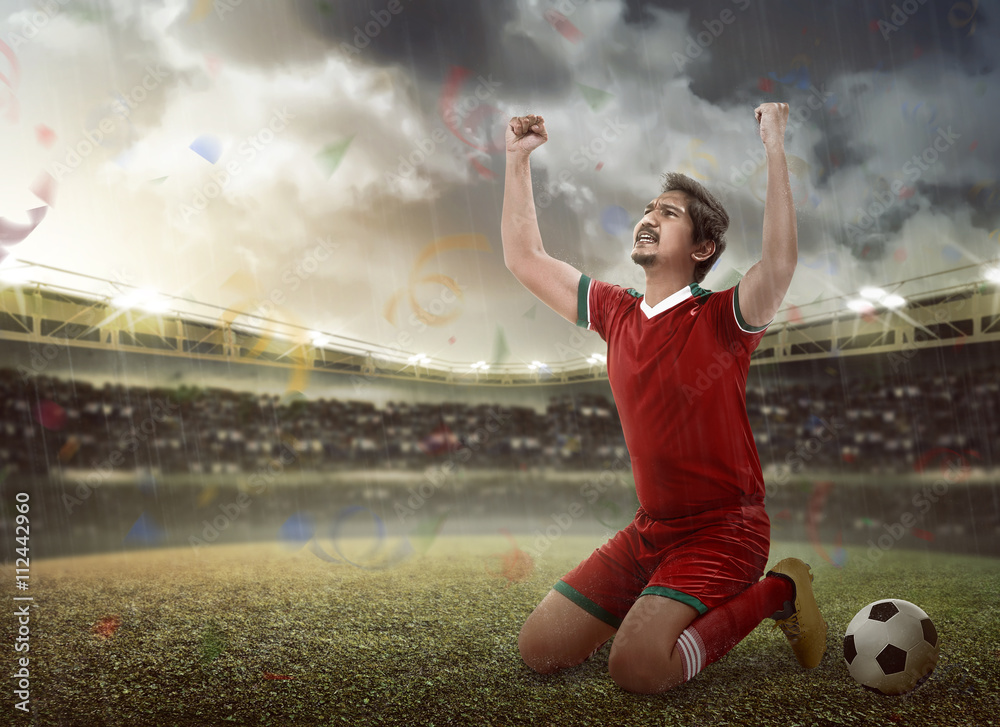 Winning football player Stock Photo | Adobe Stock