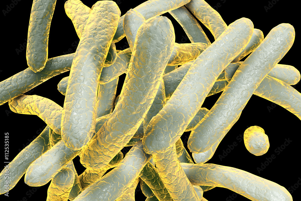 3D illustration of bacterium Mycobacterium tuberculosis isolated on ...