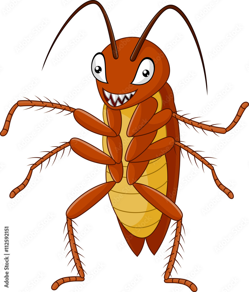 Cute Cockroach isolated on white background Stock Vector | Adobe Stock