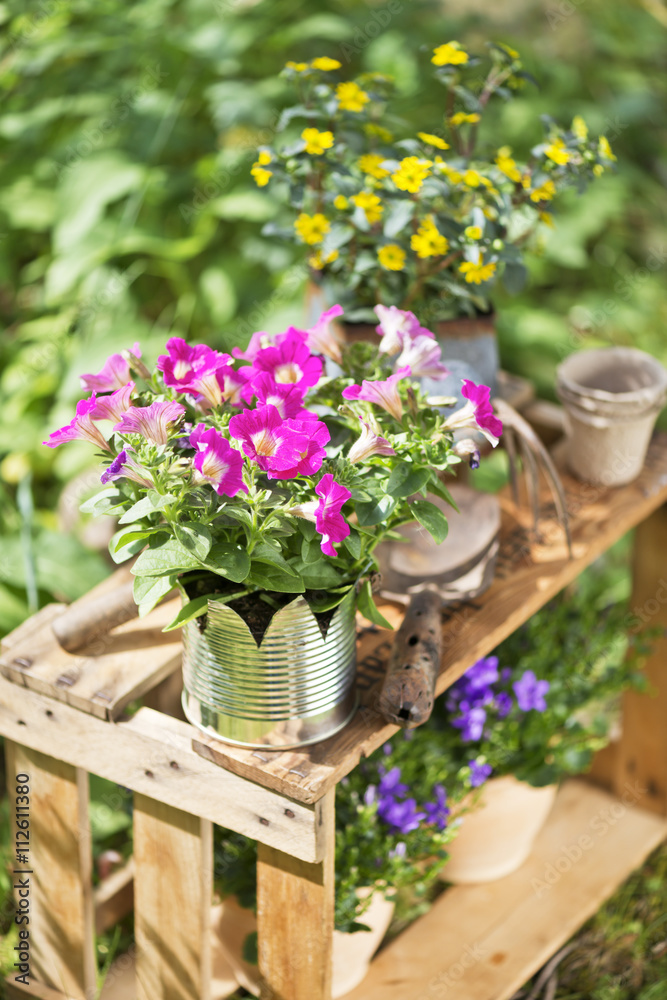 Blumen im Garten Stock Photo | Adobe Stock