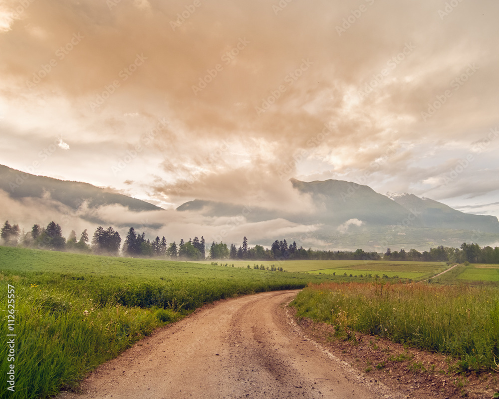 Landscape of a rural road with farm and crop in a ranch Stock Photo ...