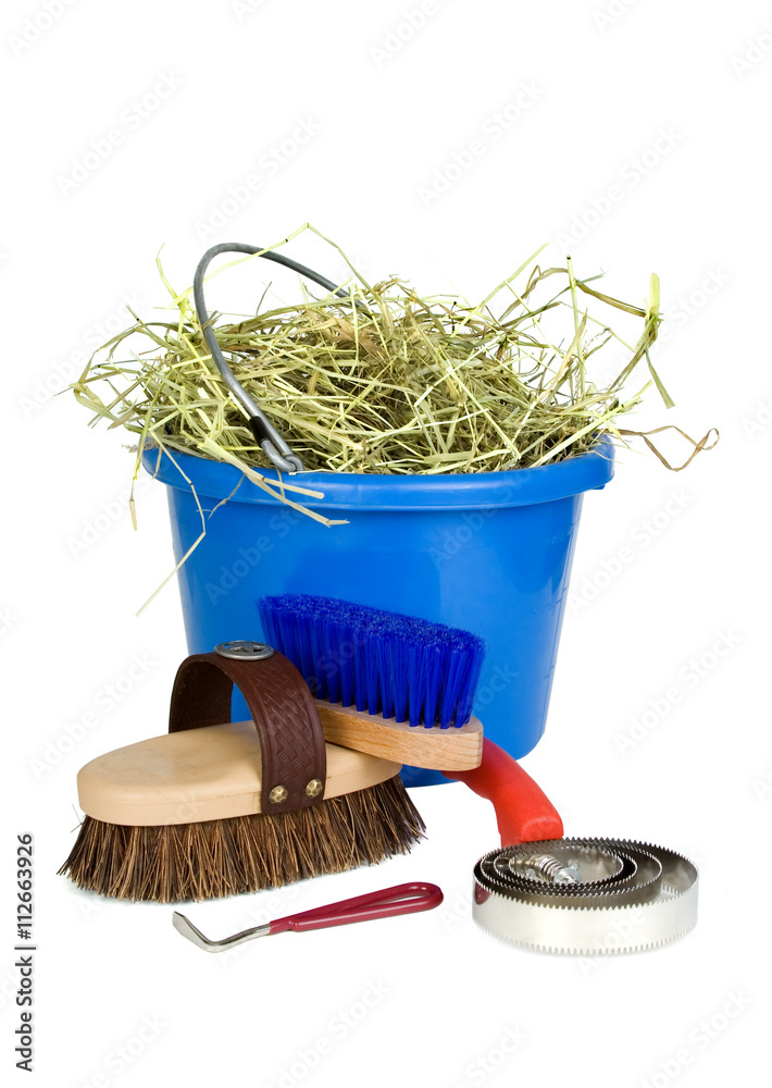 Horse Grooming Tools and Hay – A blue bucket filled with hay and a ...