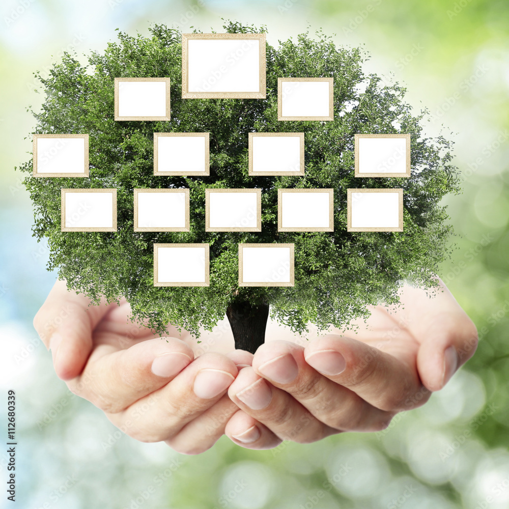 Hands holding family (genealogy ) tree with blank frames, on nature ...