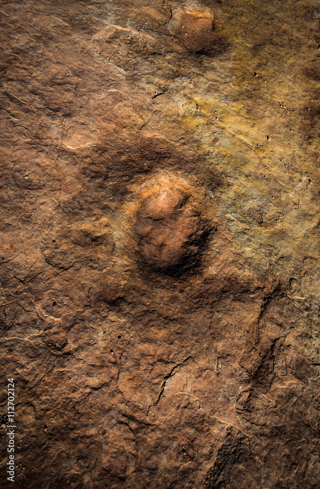 Dinosaur Tracks Stock Photo | Adobe Stock