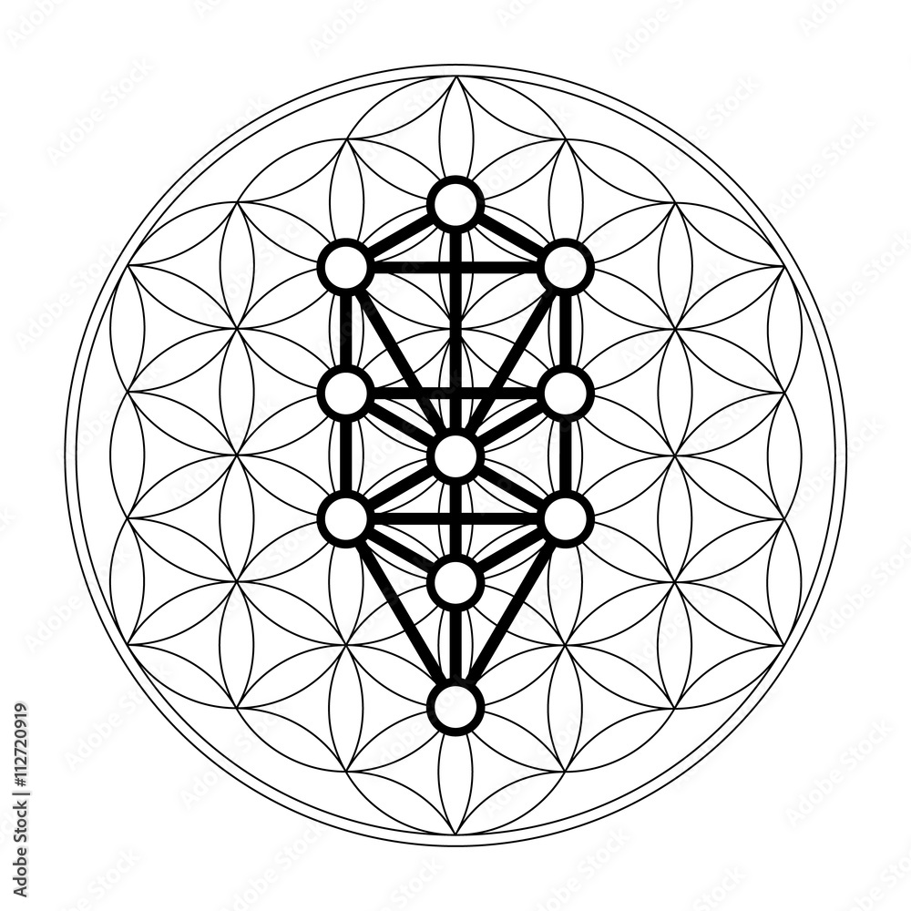 Flower of life, 10 Sephirot, Tree of life, Kabbalah vector de Stock ...