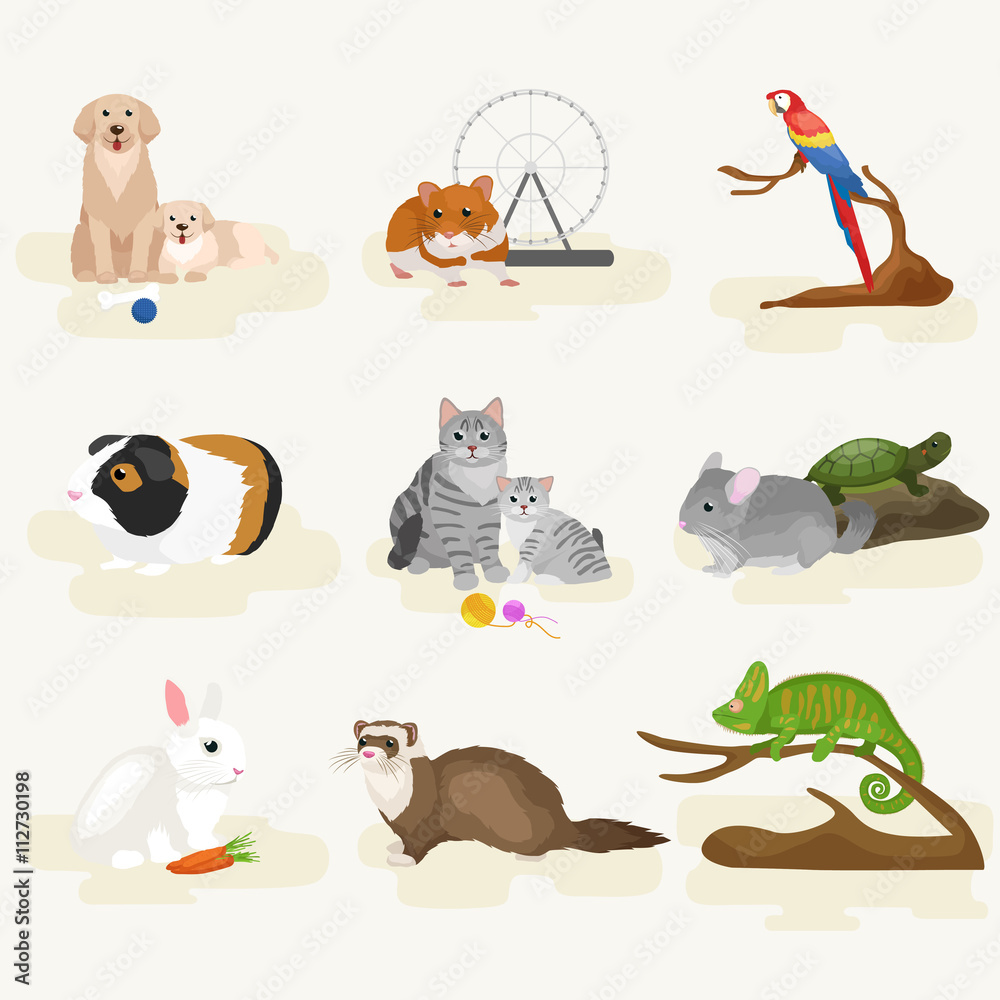 Home pets set, cat dog parrot goldfish hamster, domesticated animals ...