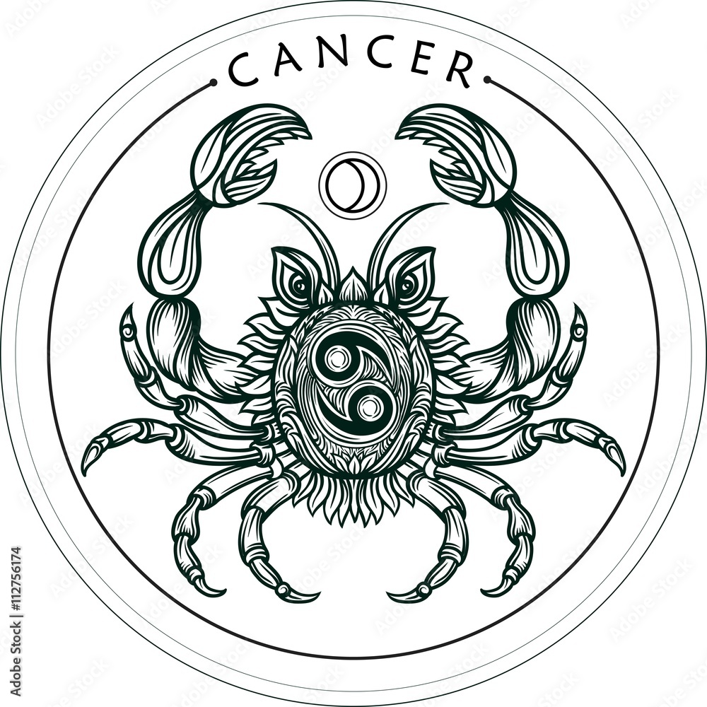 Hand drawn line art of zodiac cancer. Vector Stock Vector | Adobe Stock