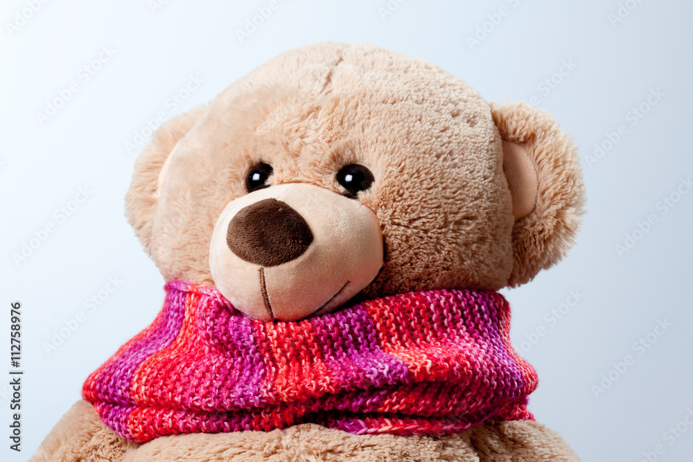 Teddybär mit Wollschal, Schal, Teddy, Halstuch, Schal, Fieber, Stock-Foto | Adobe Stock