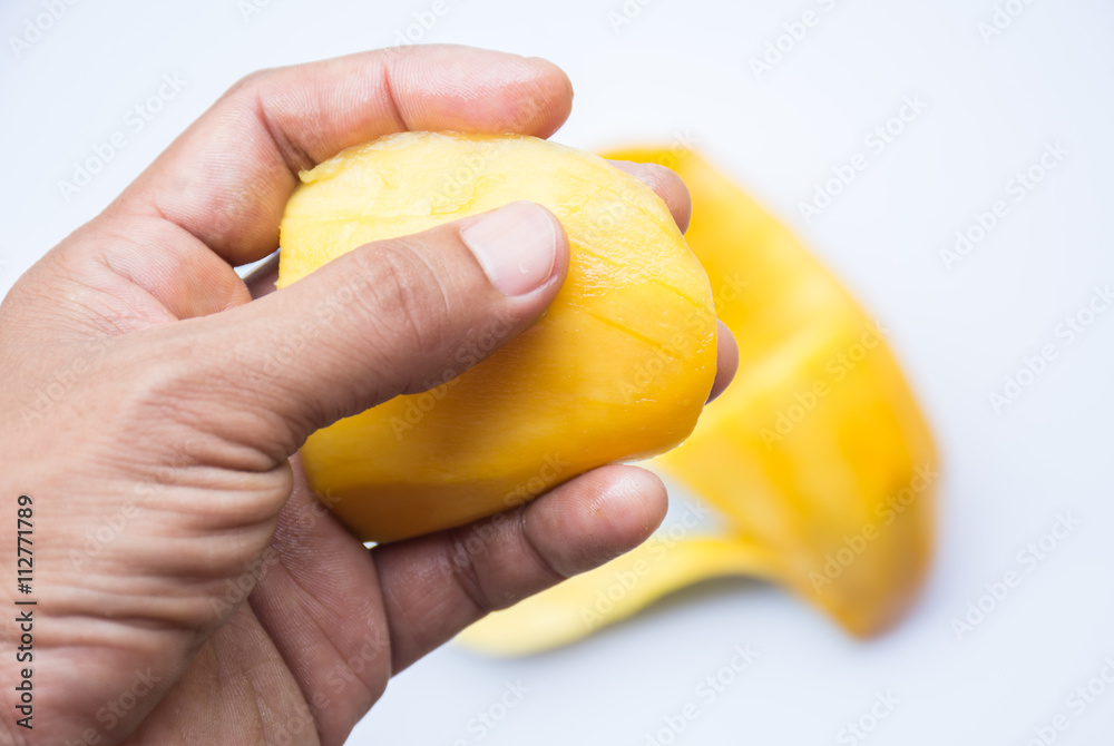 Hand holding mango on white background Stock Photo | Adobe Stock