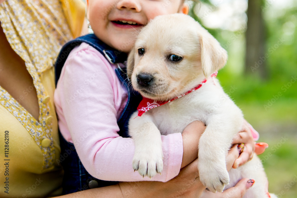 purebred puppy labrador retriever and smiling little girl Stock Photo ...