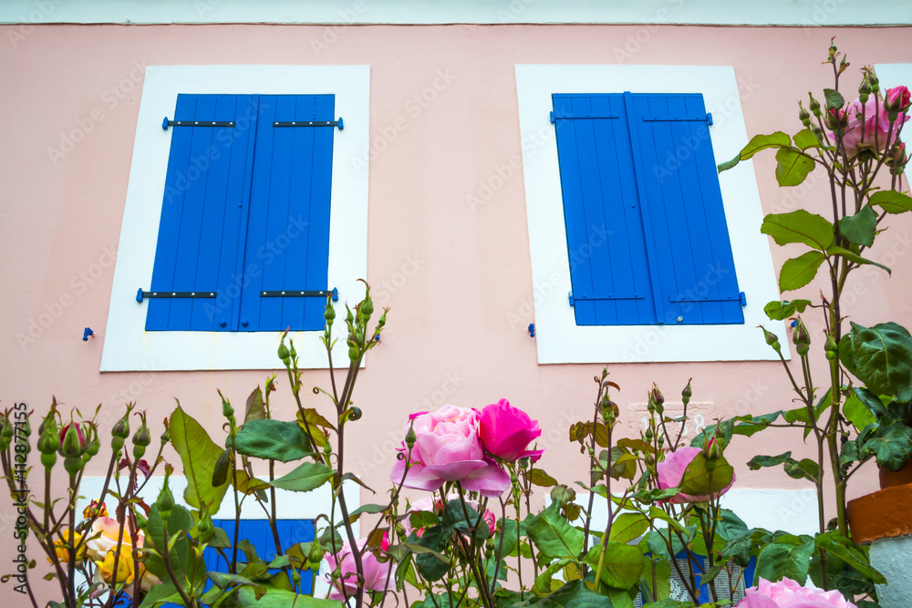 volets bleus avec roses Stock Photo | Adobe Stock