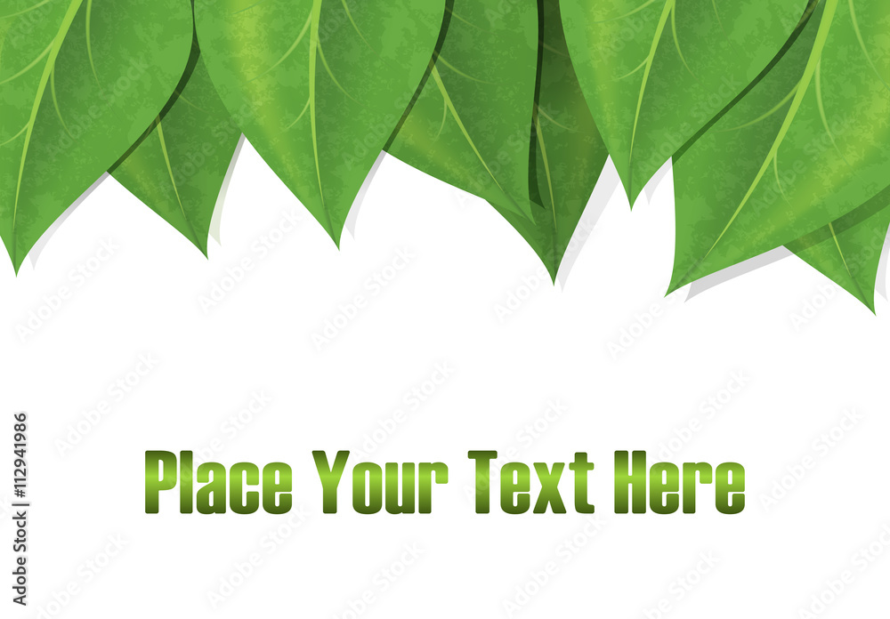 Horizontal background with green leaves border and empty space for text ...