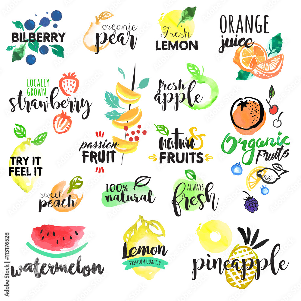 Set of hand drawn watercolor labels and stickers of fruit. Vector ...