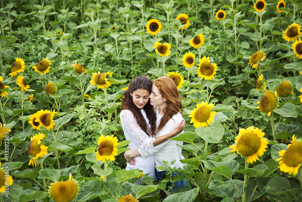 Couple embracing in sunflower field Stock Photo | Adobe Stock