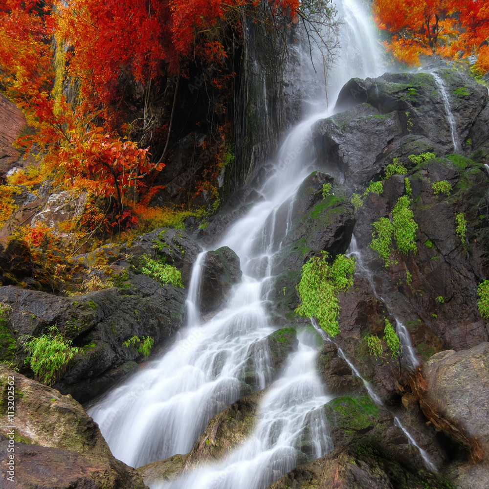 Most popular royalty-free fall image collections | Adobe Stock