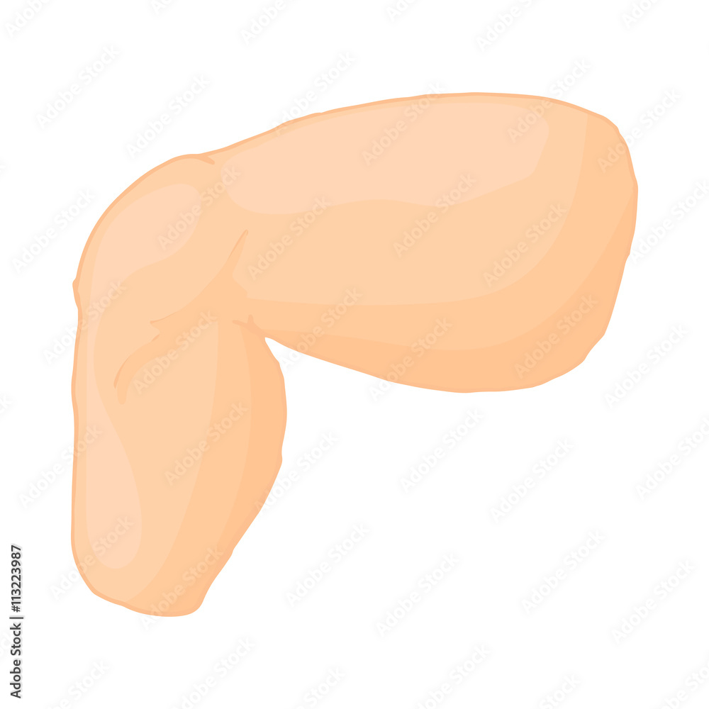 Human leg icon in cartoon style Stock Vector | Adobe Stock