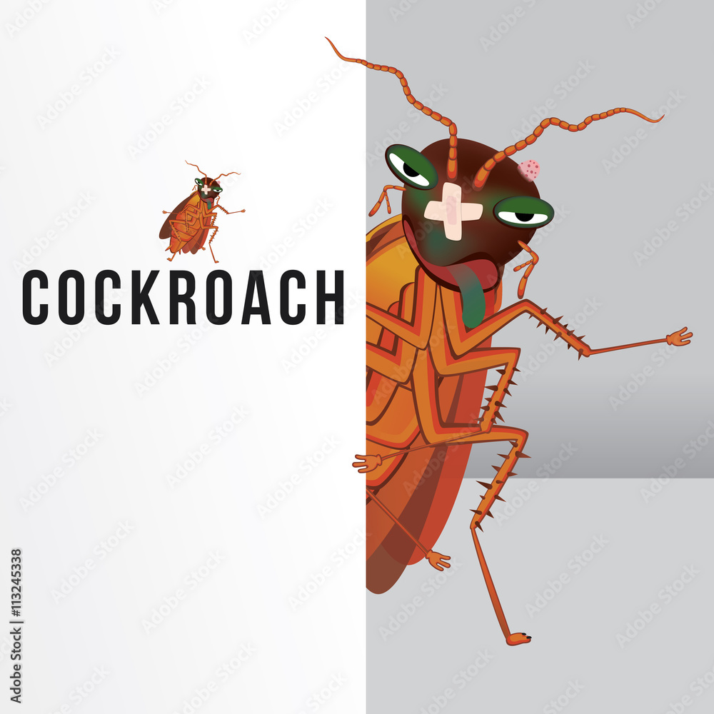 Vector illustration of cartoon cockroach. Stock Vector | Adobe Stock