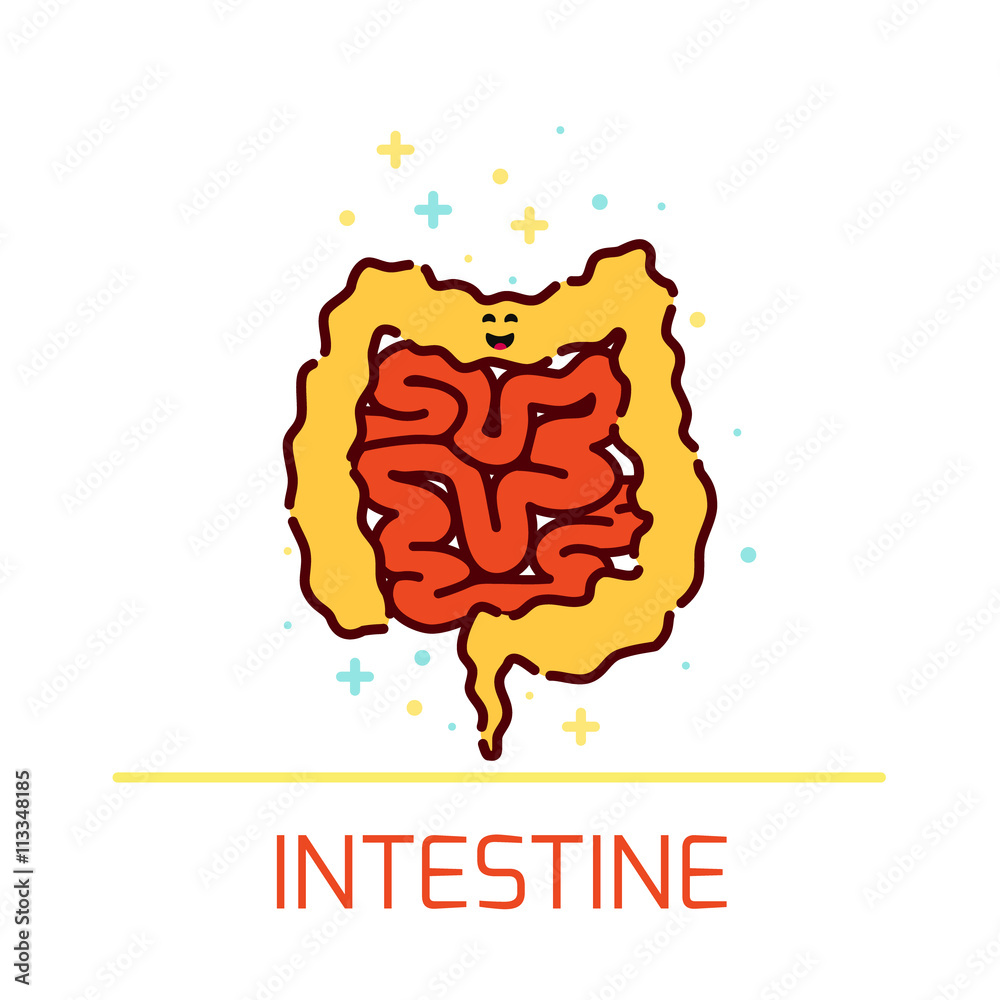 Vector illustration of large and small intestine. Intestine icon made ...