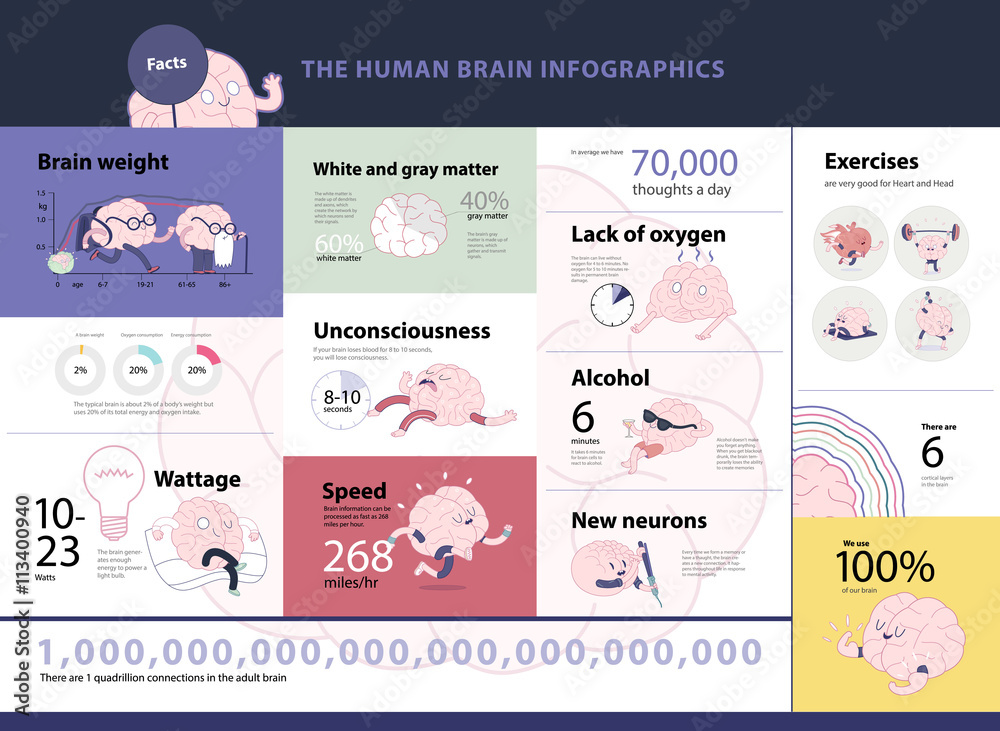Human brain infographic set, cartoon vector isolated images accompanied ...