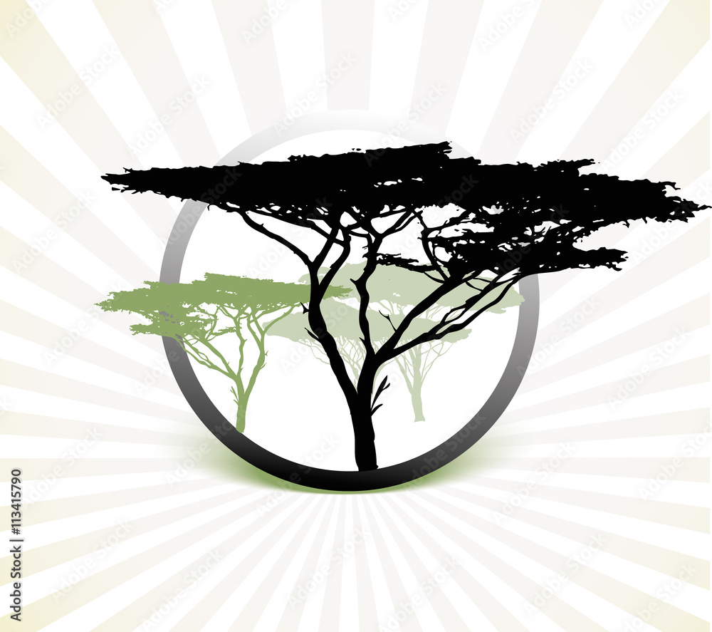 Silhouette of africa tree, black on white background, vector ...