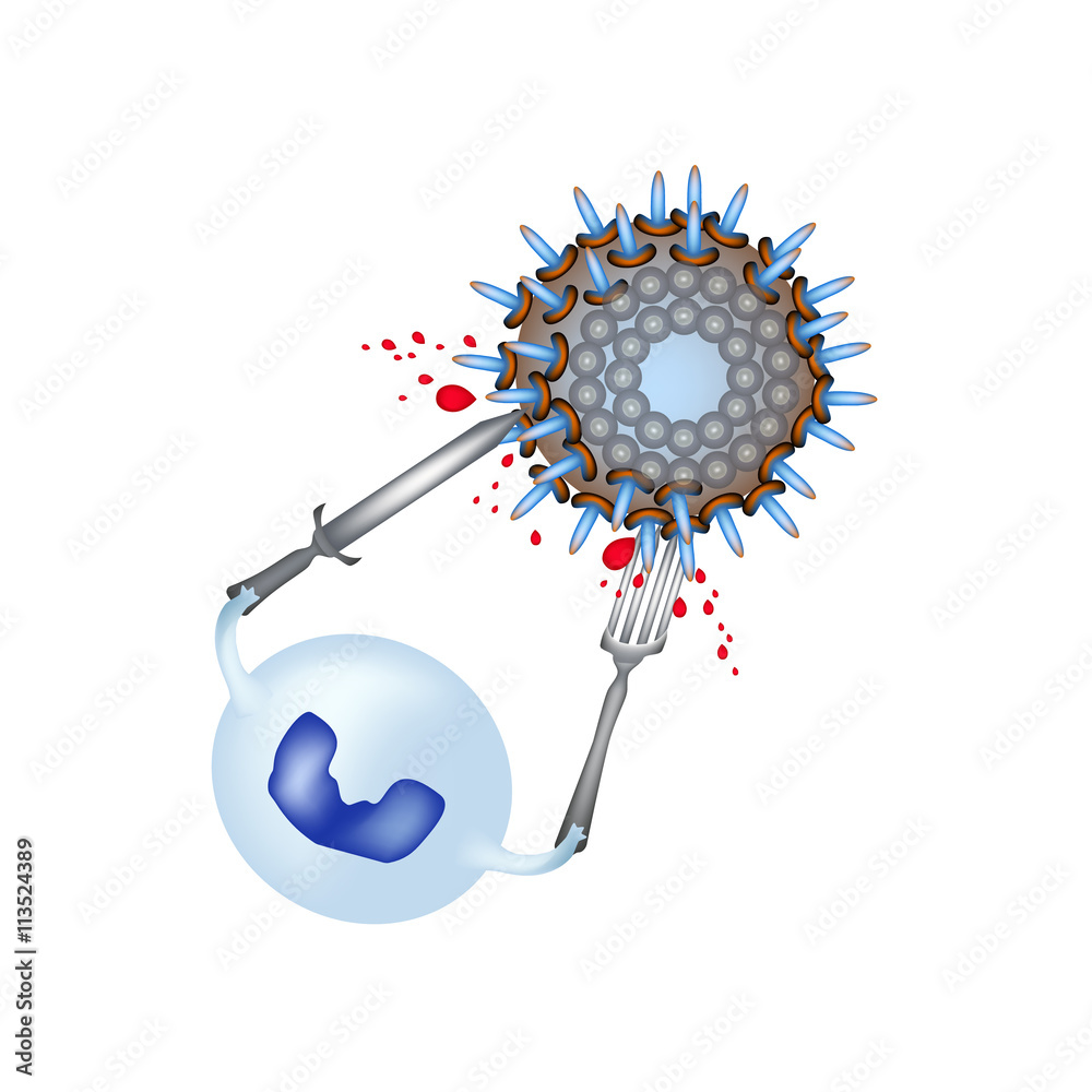 Phagocytosis. Leukocyte absorbs the virus. Infographics. Leukocyte eats ...