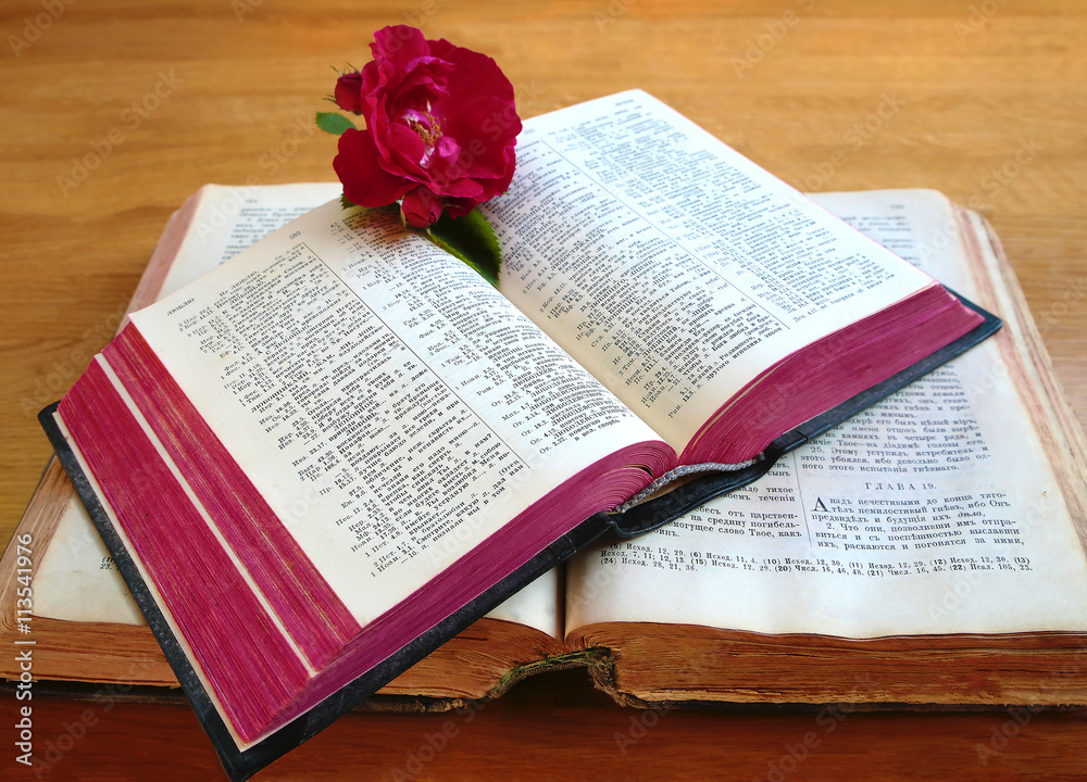 Open Bible with rose Stock Photo | Adobe Stock