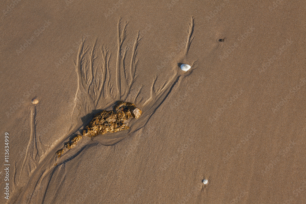 Фактура мокрого морского песка Stock-Foto | Adobe Stock