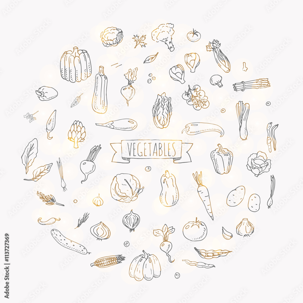 Hand drawn doodle vegetables icons set Vector illustration seasonal ...