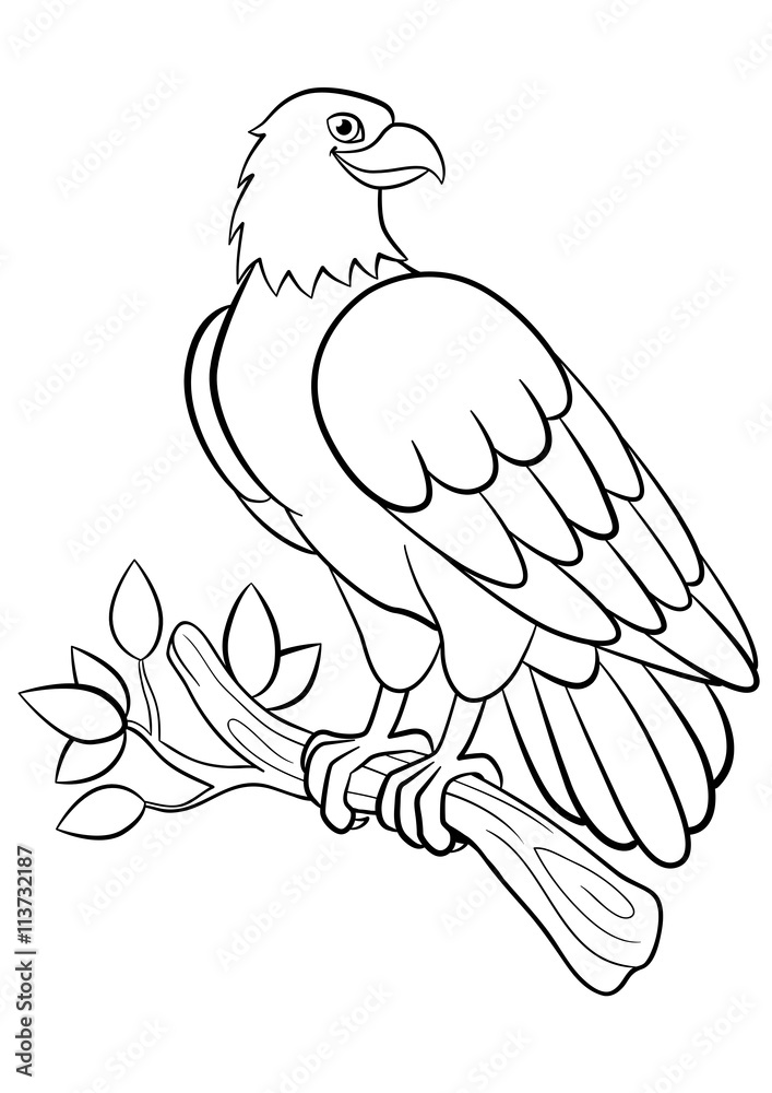 Coloring pages. Wild birds. Cute smiling eagle. Stock Vector | Adobe Stock