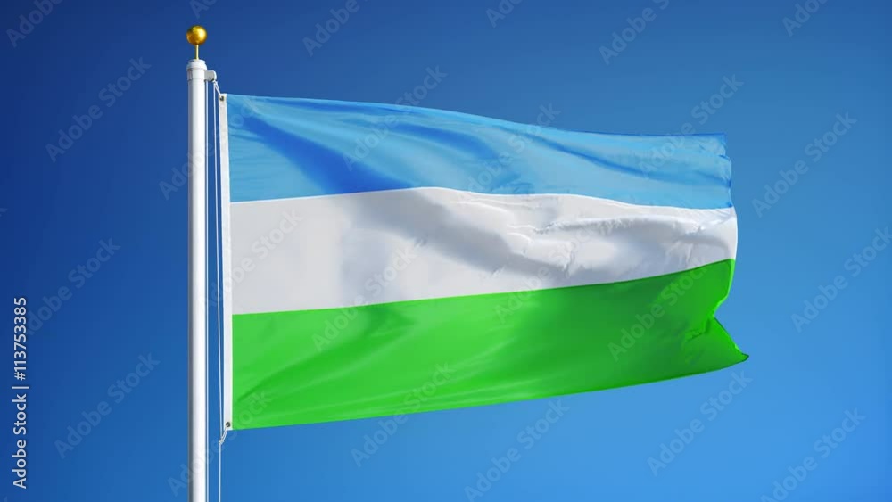 Molossia flag waving in slow motion against clean blue sky, seamlessly ...
