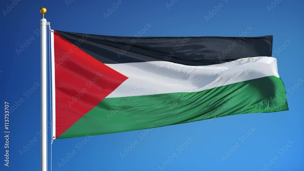 Palestine flag waving in slow motion against blue sky, seamlessly ...