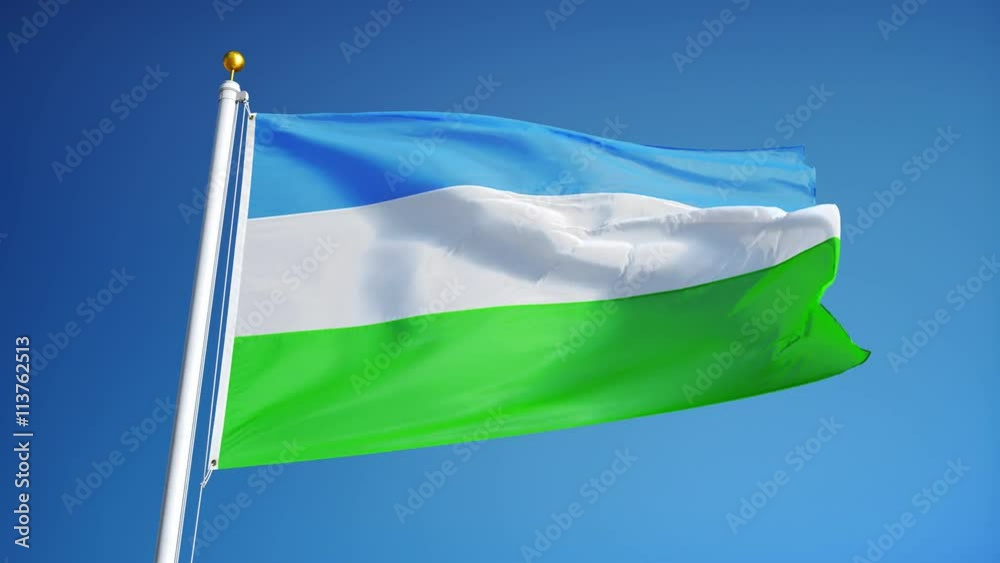 Vidéo Stock Molossia flag waving in slow motion against clean blue sky ...