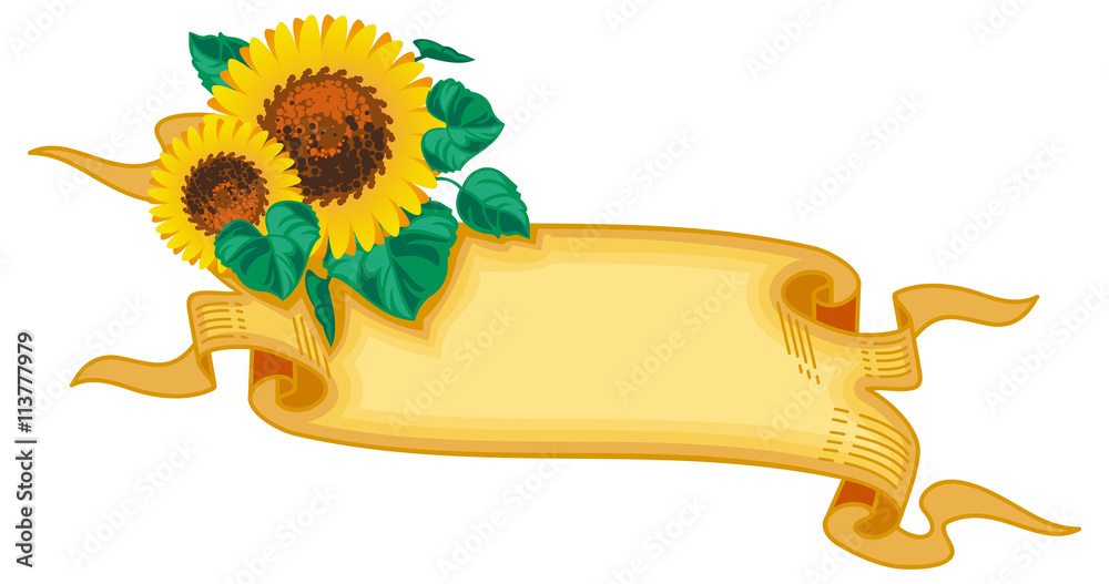 Paper scroll with sunflowers. Vector clip art. Stock Vector | Adobe Stock