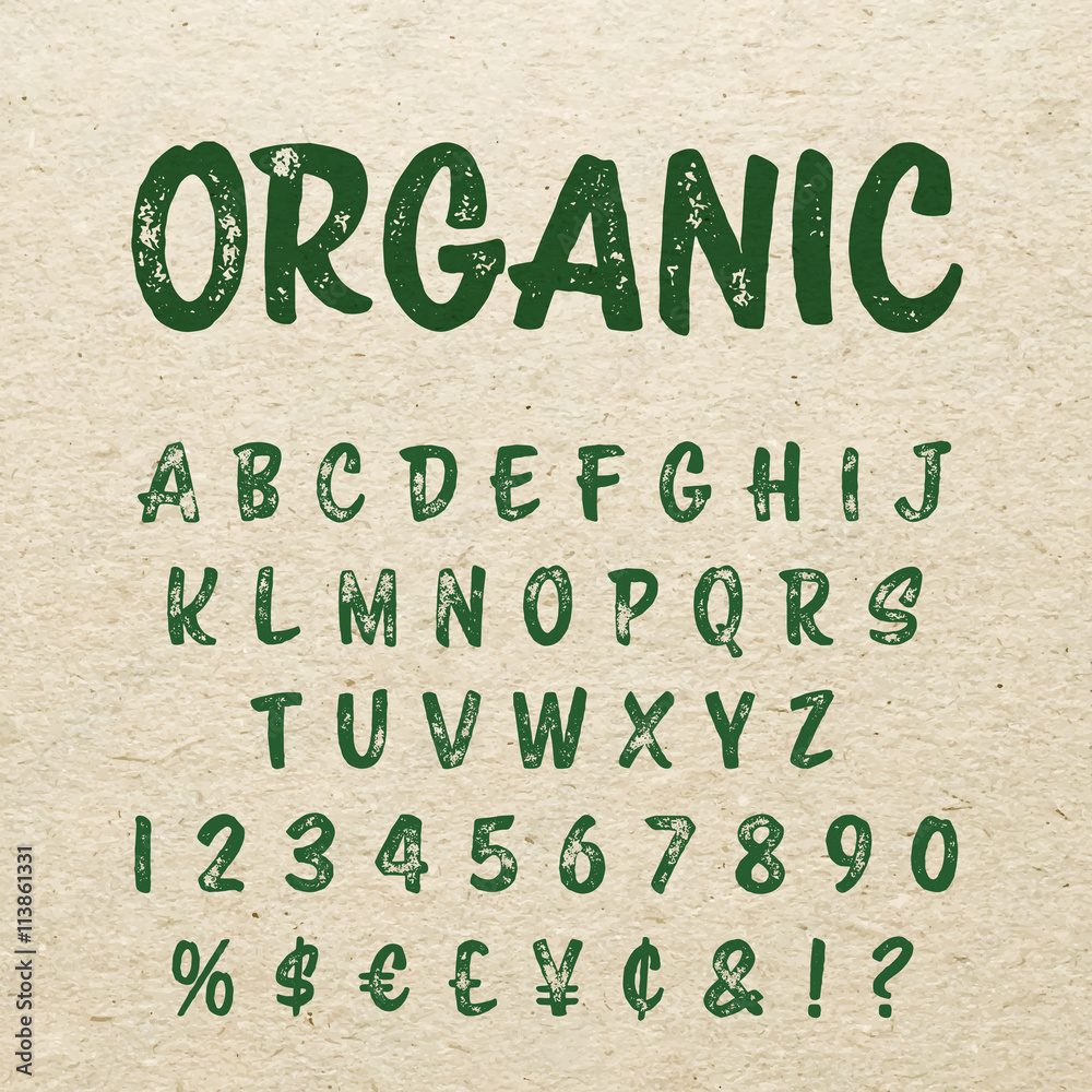 Organic brush script lettering font. Handwritten calligraphic alphabet ...