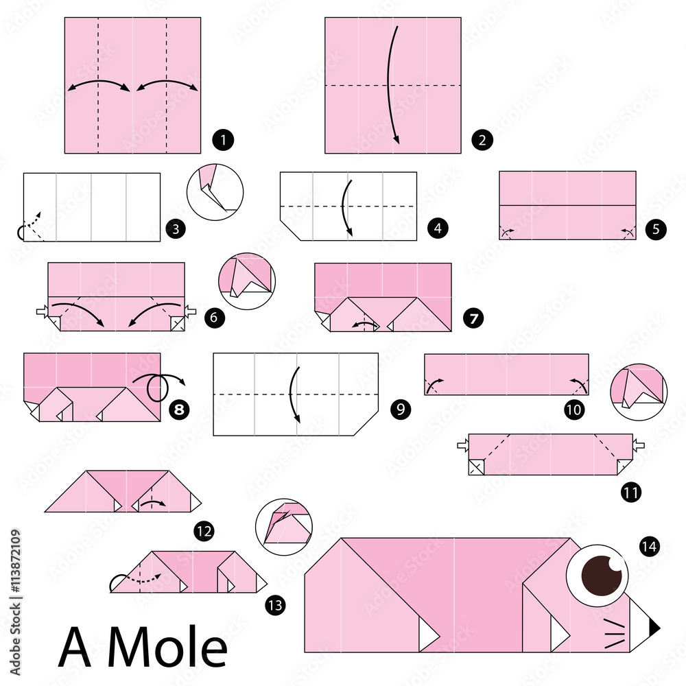 Step by step instructions how to make origami A Mole. Stock ...