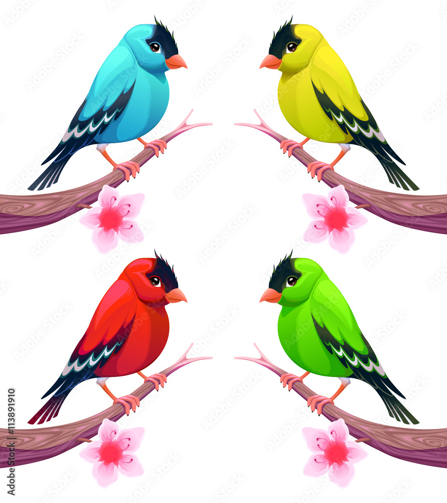 Group of birds in different color tones Stock Vector | Adobe Stock