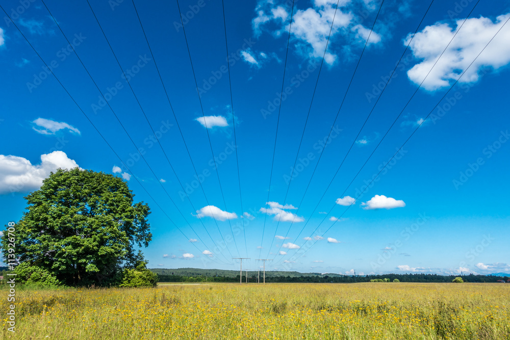 Stromtrasse durch die weite grüne Landschaft Stock-Foto | Adobe Stock