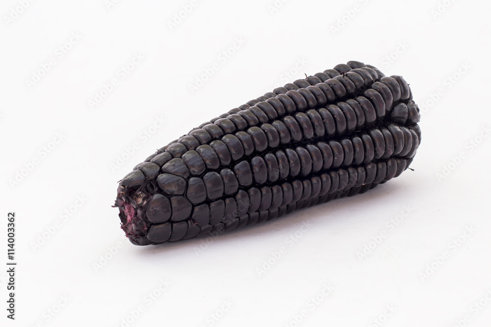 Peruvian purple corn (maiz morado), used to prepare"chicha morada ...