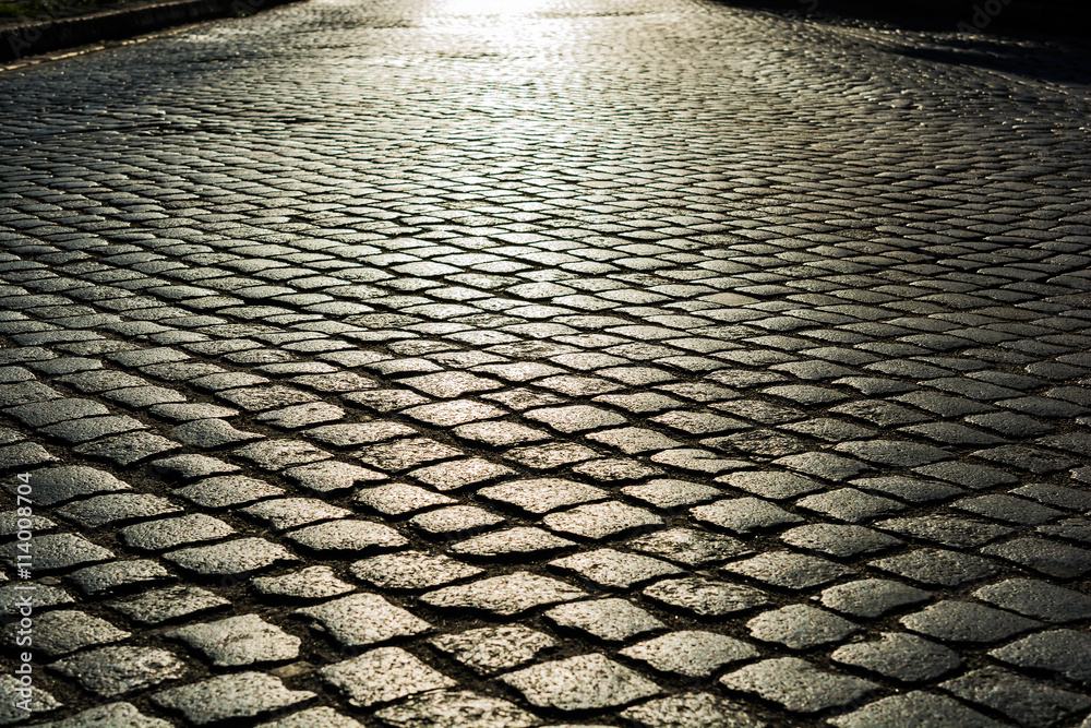 Cobblestone Road Photography