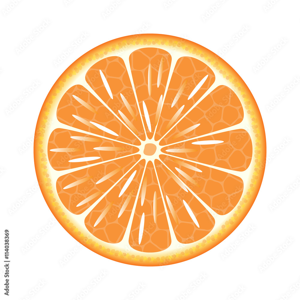Orange in a cut on a white background Stock Vector | Adobe Stock