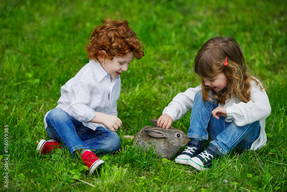 boy and girl playing with rabbit Stock Photo | Adobe Stock