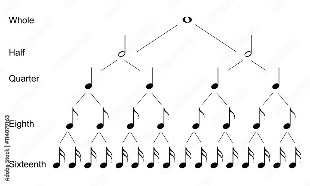 Types of musical notes Stock Vector | Adobe Stock