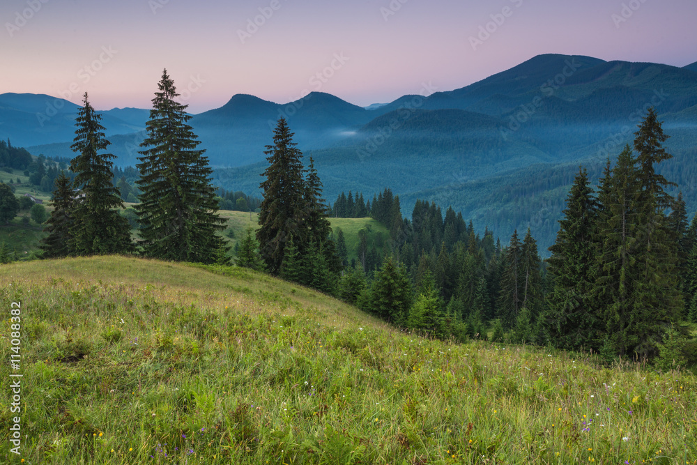 Twilight Woods Scene
