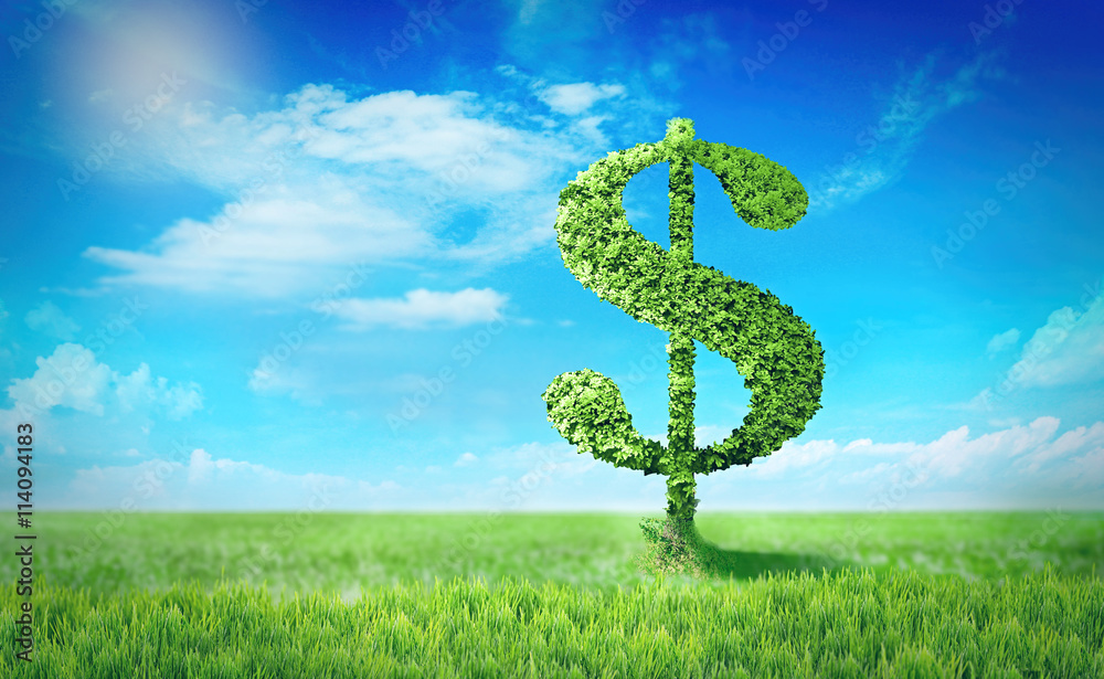 Dollar sign made of tree leaves on green spring field background Stock ...