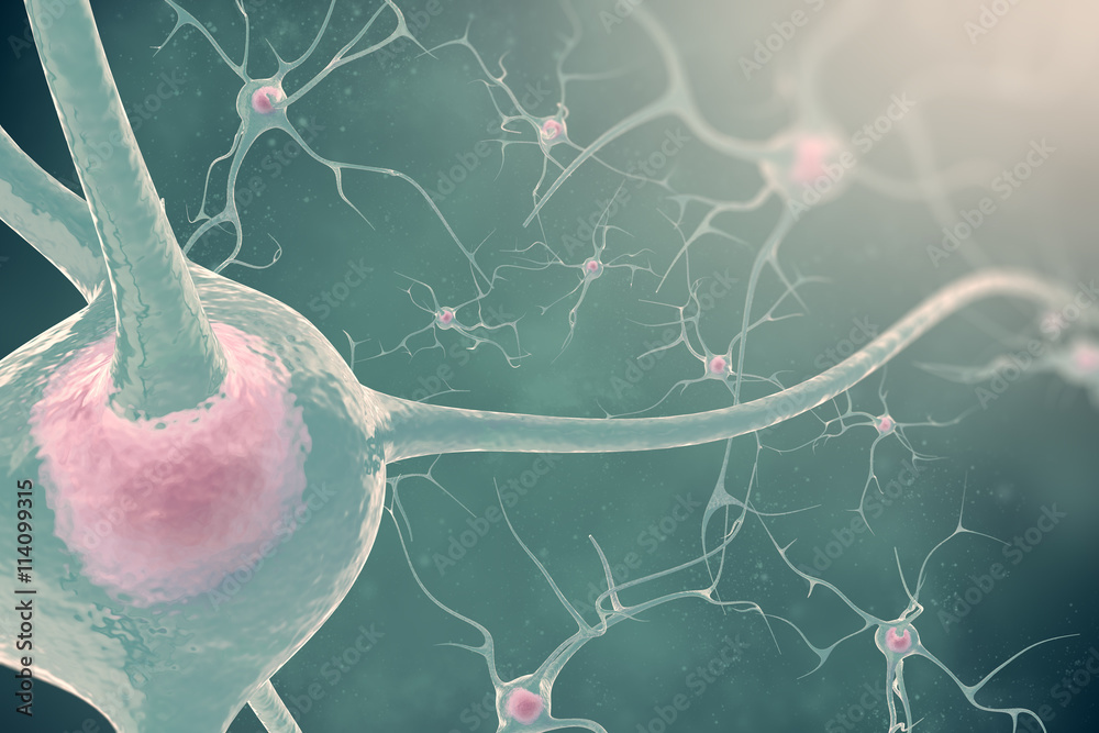 The neurons of the nervous system with the effect blurring and light ...