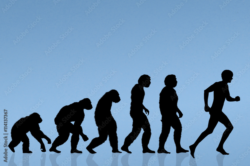 human evolution running Stock Illustration | Adobe Stock