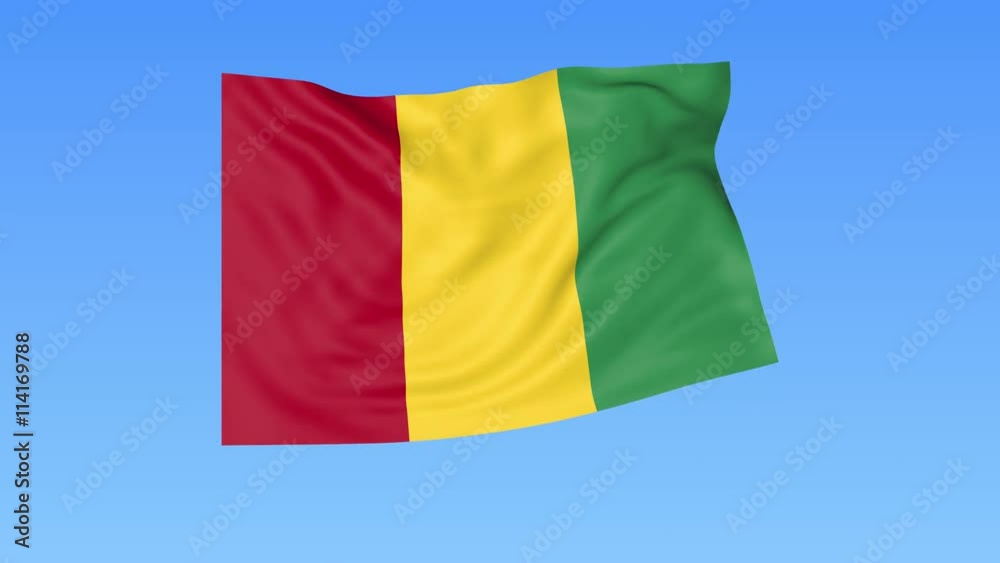 Waving flag of Guinea, seamless loop. Exact size, blue background. Part ...